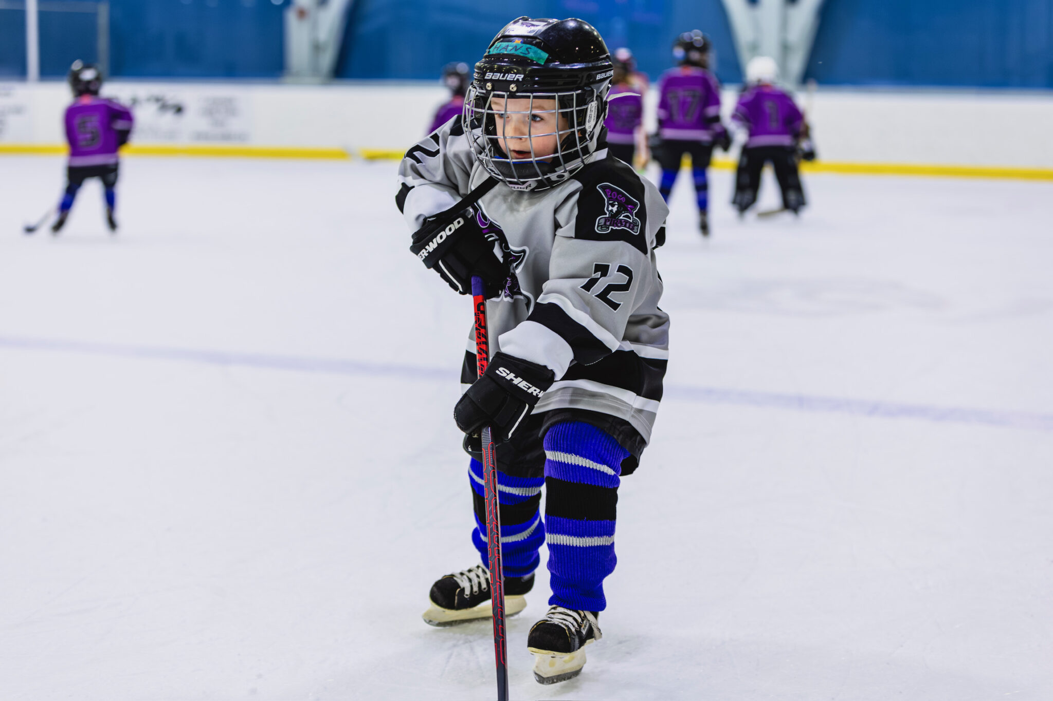 Registration – Port Coquitlam Minor Hockey Association